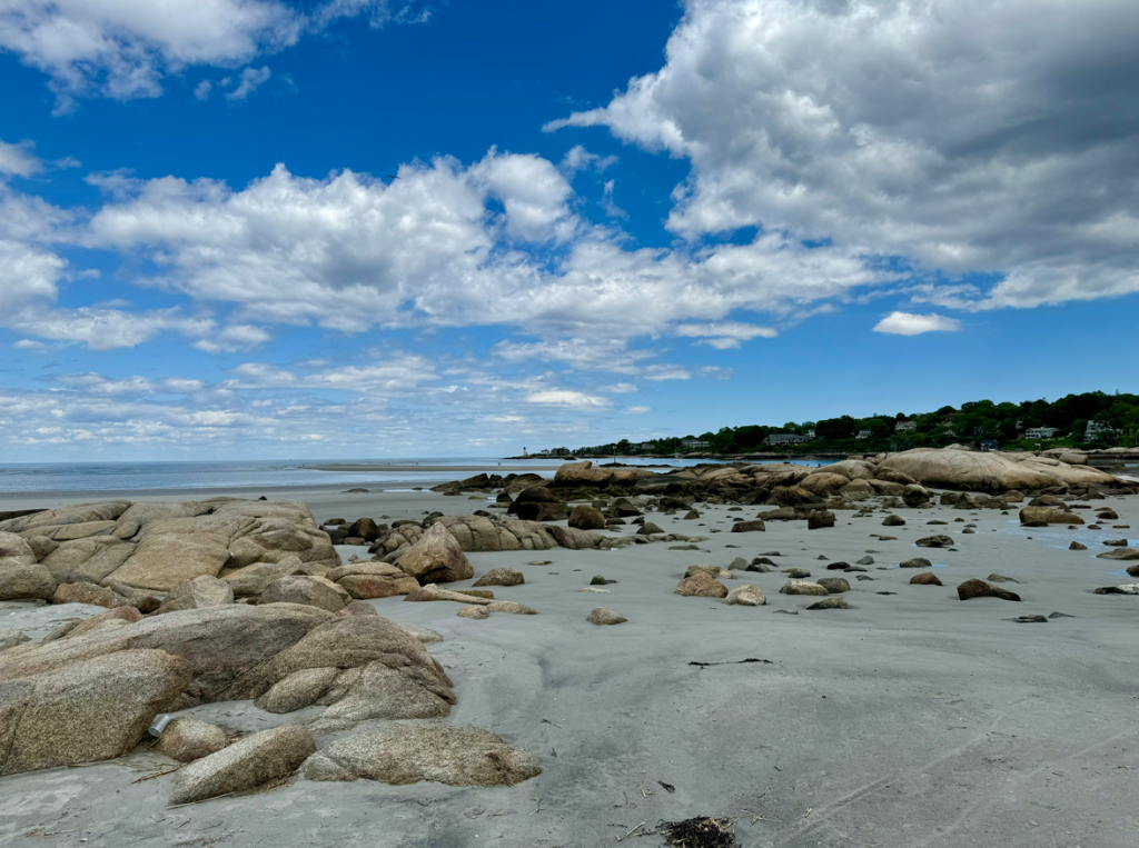 Everything You Need To Know About Gloucester Beaches - Discover Gloucester